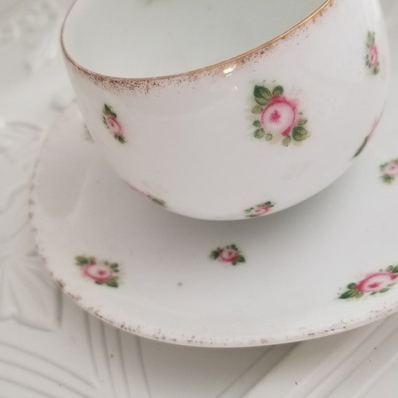 BAVARIA ROSENTHAL TEA CUP SET | Dining | Bavaria Rosenthal Pink Roses ...
